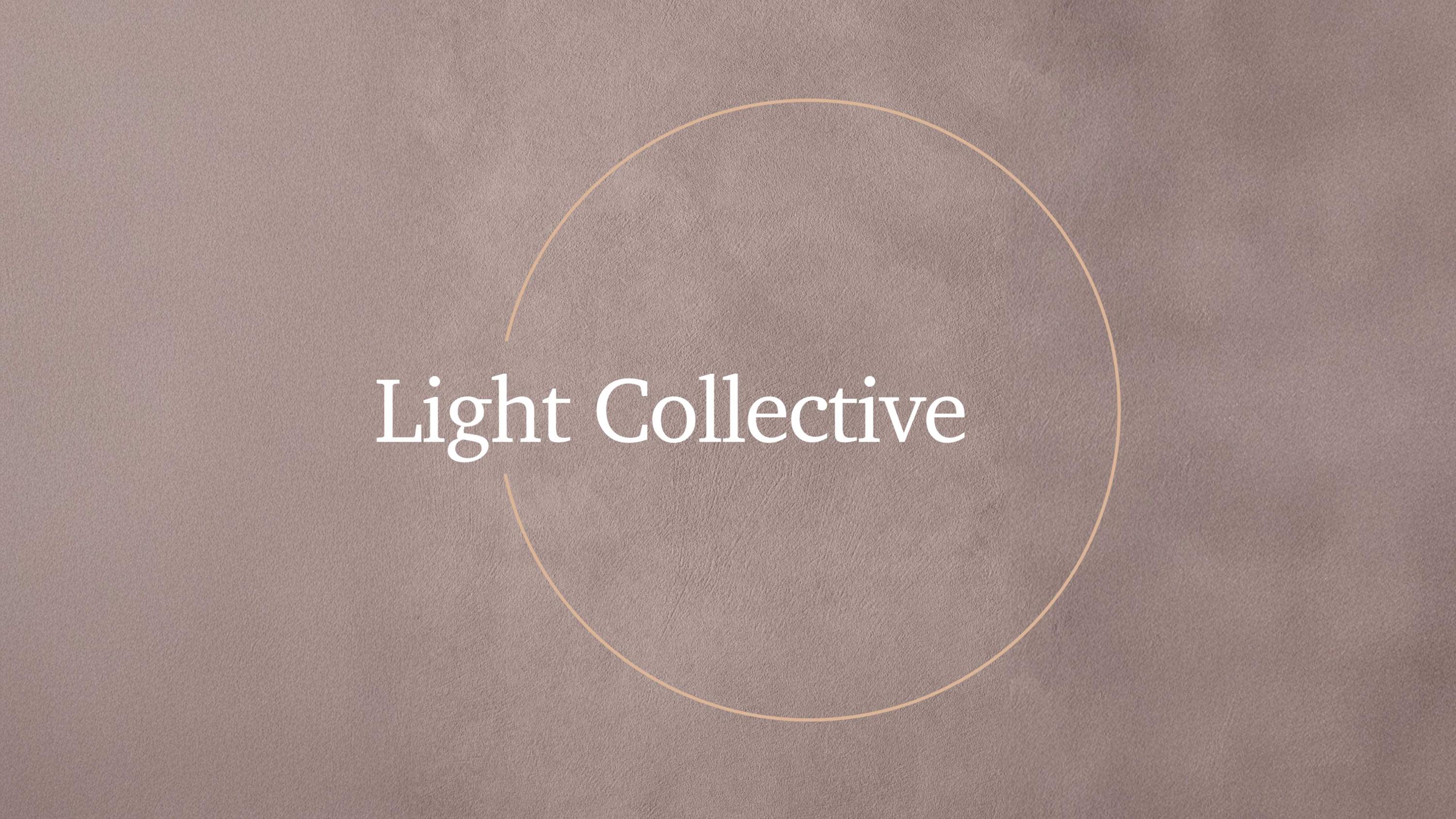 Professional Wall Zoom Background | Light Salmon | Home Office ...