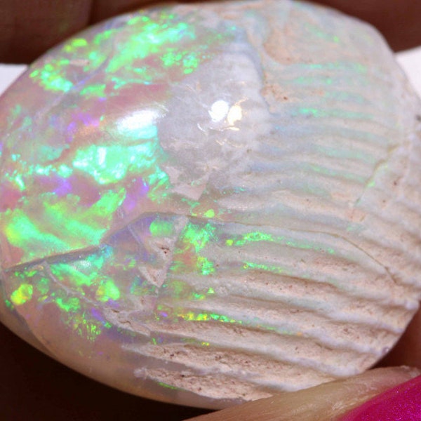 Opal Fossil - Etsy