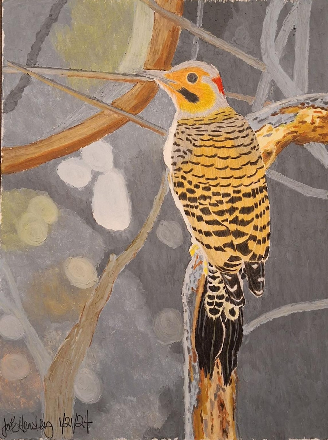 9 X 12 Inch Yellow Barred Northern Flicker Drawing - Etsy