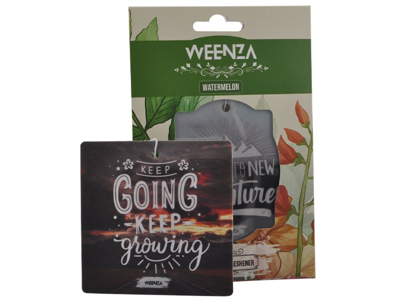 WEENZA Watermelon Air Freshener Long Lasting Car Mirror Hanging Air ...