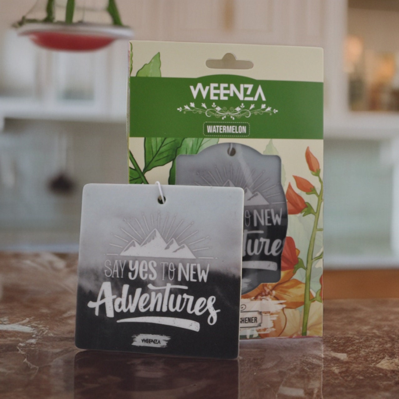 WEENZA Watermelon Air Freshener Long Lasting Car Mirror - Etsy