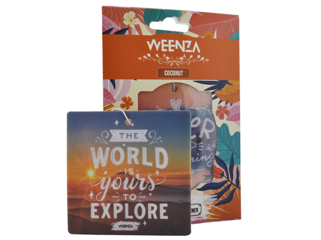 WEENZA Coconut Air Freshener | Long Lasting Car Mirror Hanging Air ...