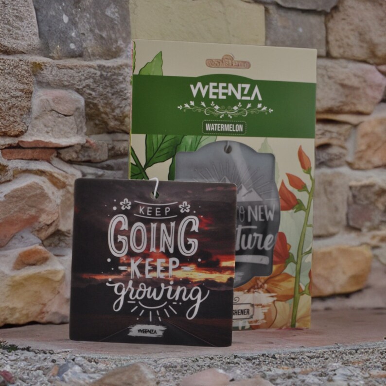 WEENZA Watermelon Air Freshener Long Lasting Car Mirror - Etsy