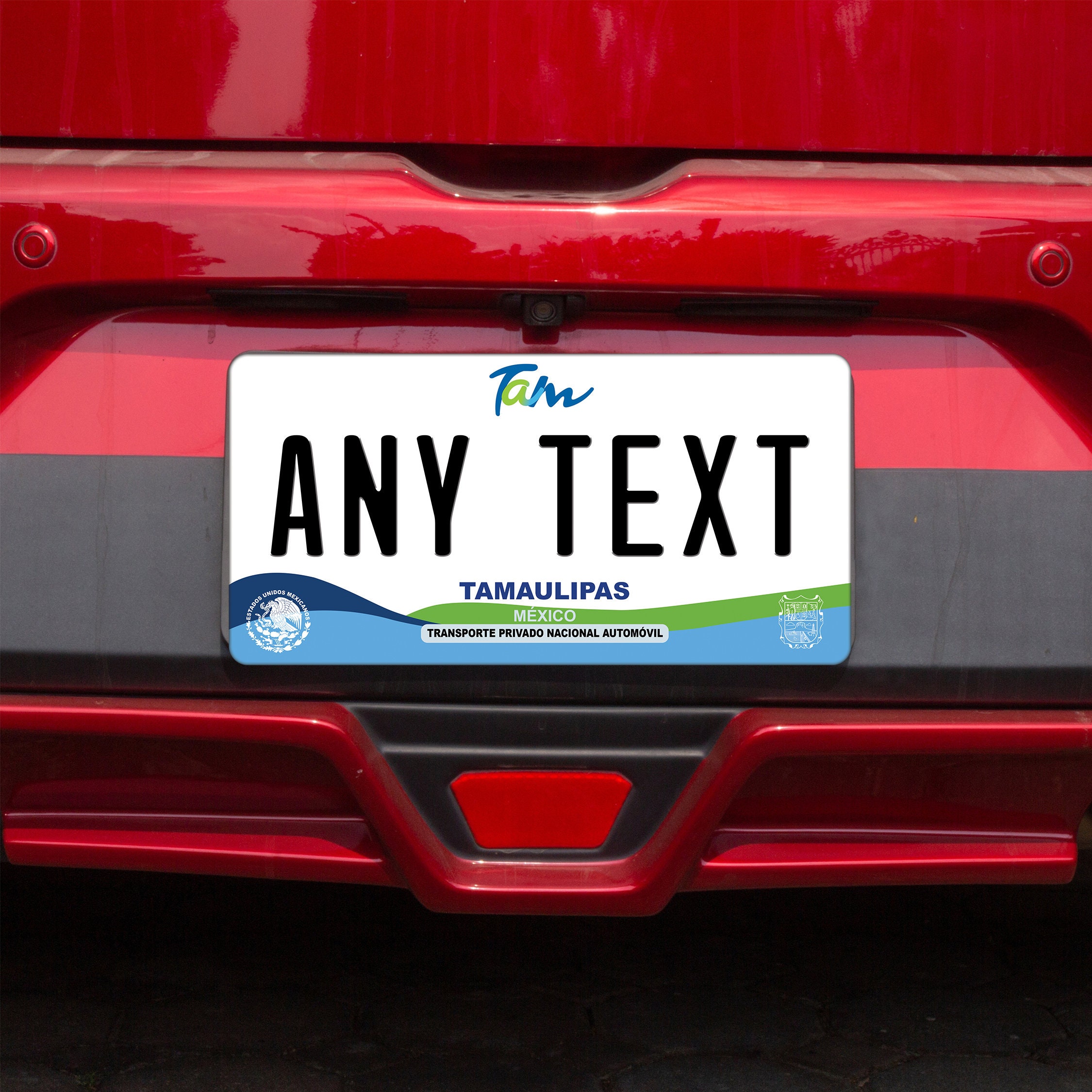 Personalized Car Plate Sticker 4x2 Mexico Car Plates of the States of ...