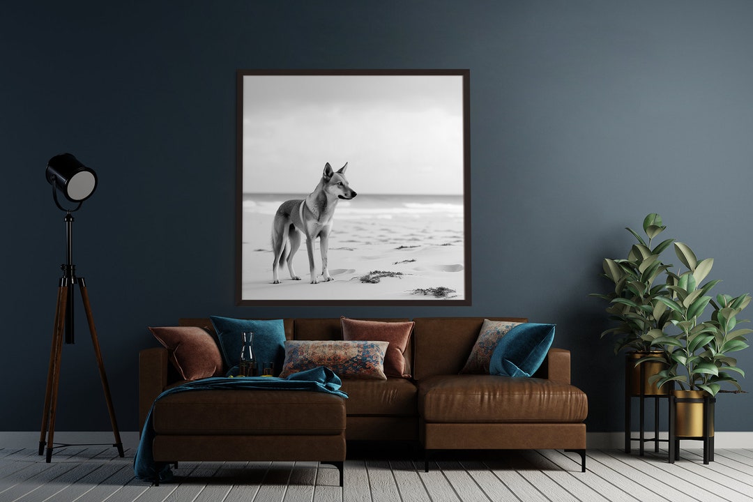 Australian Dingo on a Beach Digital Print - Black & White Art ...