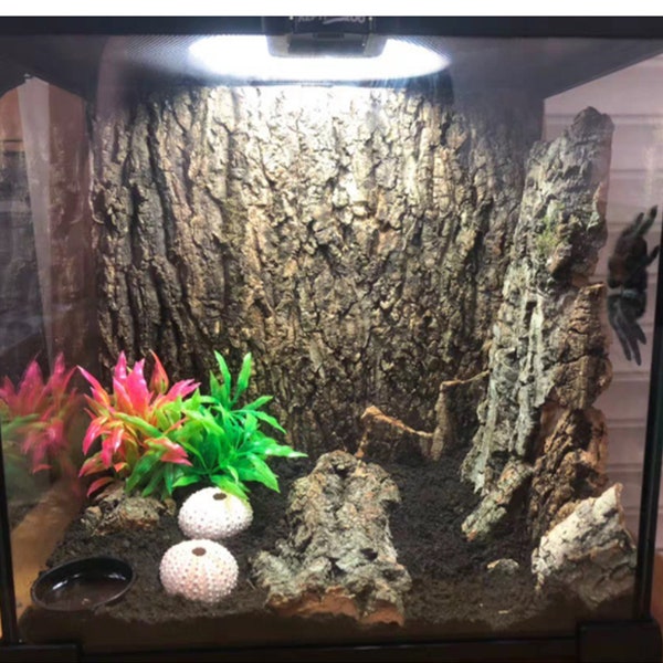 Fish Tank Background - Etsy