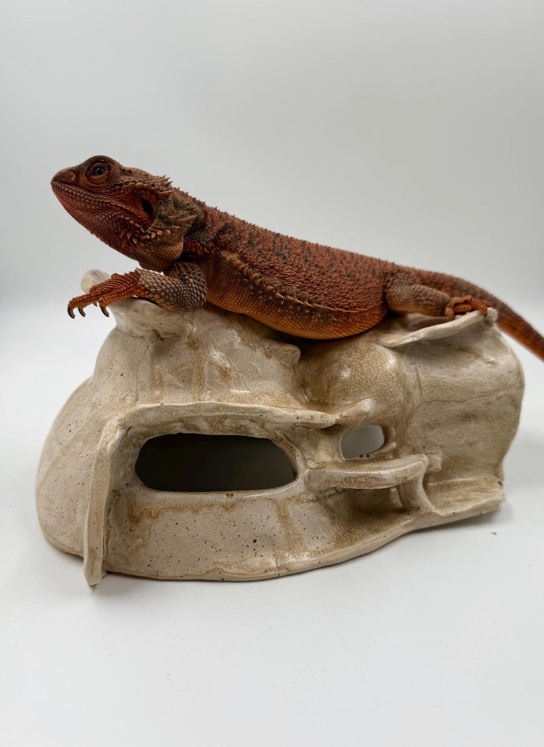 Ceramic Reptile Hide & Basking Spot | Handmade | Natural Beige Rock ...