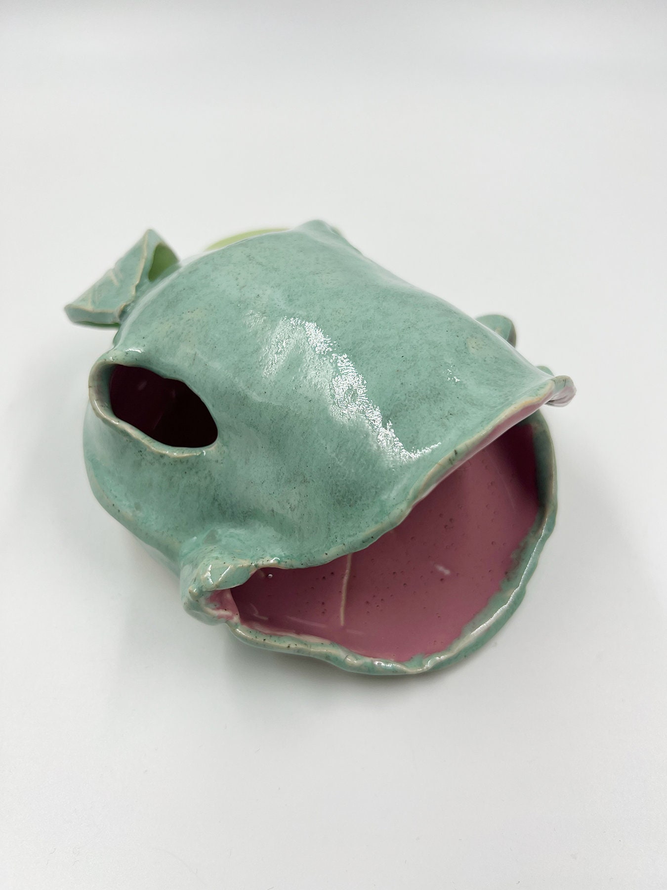 Unique Ceramic Venus Flytrap Hide – Handmade Terrarium Decor - Etsy