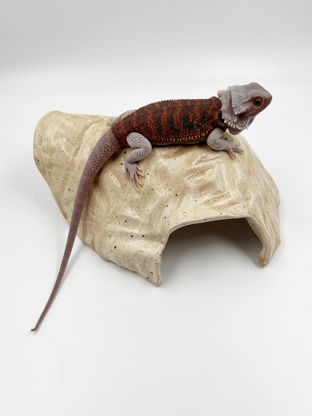 Ceramic Hiding Place / Basking Spot for Small Reptiles / Small Snakes ...