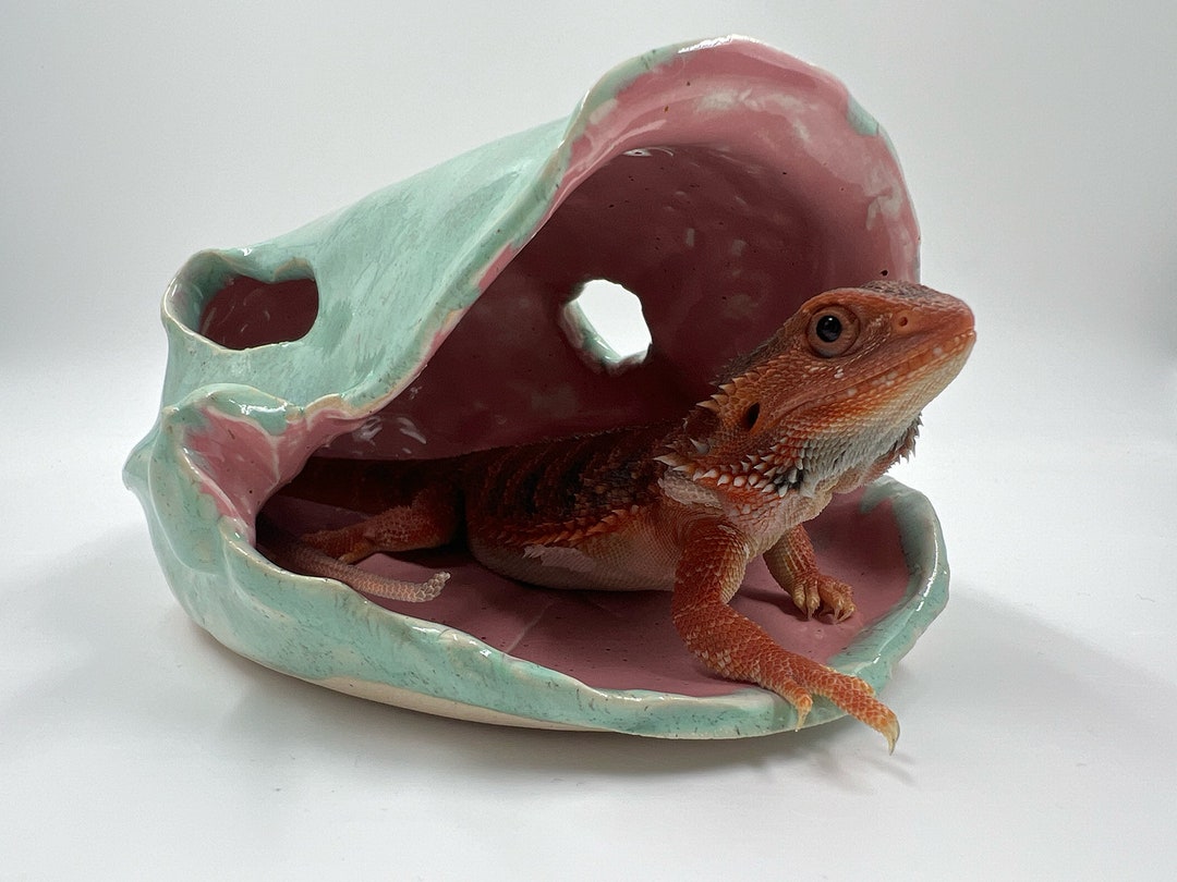 Unique Ceramic Venus Flytrap Hide – Handmade Terrarium Decor - Etsy