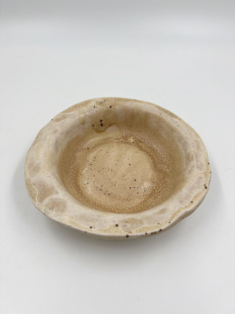 Ceramic Deep Salad Bowl for Reptiles, Lizards, Snakes, Bearded Dragon ...