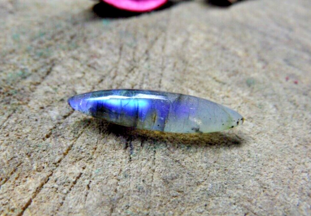 Genuine Natural Labradorite Bone Septum Tusk Septum Pinchers & Spirals ...