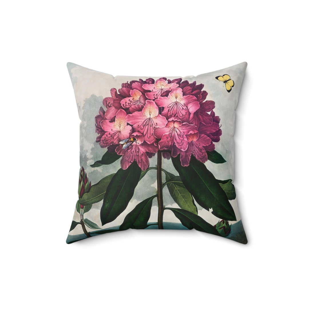 The Pontic Rhododendron From the Temple of Flora 1807 by Robert John ...