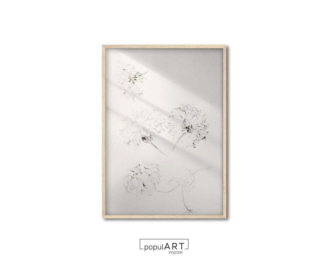 Flower Drawing Wall Art, Feminine Wall Print, Floral Still Life Drawing ...