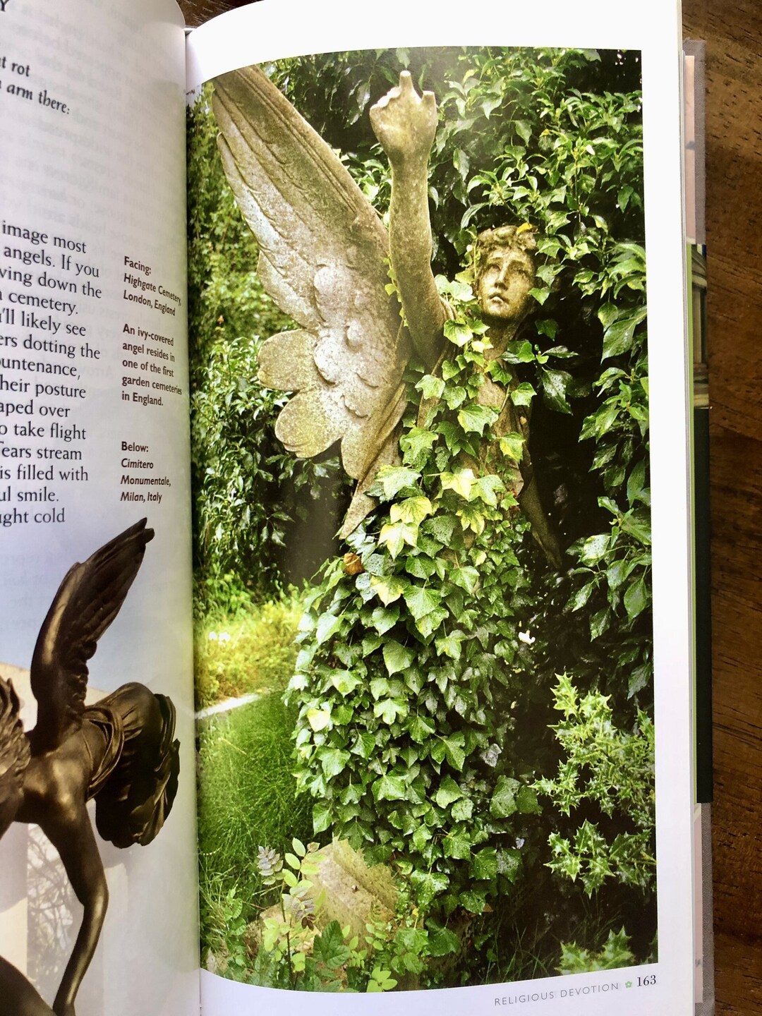 Stories in Stone: A Field Guide to Cemetery Symbolism and Iconography ...