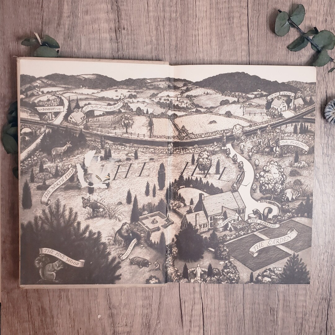 Vintage Book - Rabbit Hill by Robert Lawson (1966 Edition) - Beige ...