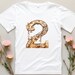 Watercolor Steampunk Numbers Clipart, PNG Individual Images, Commercial ...