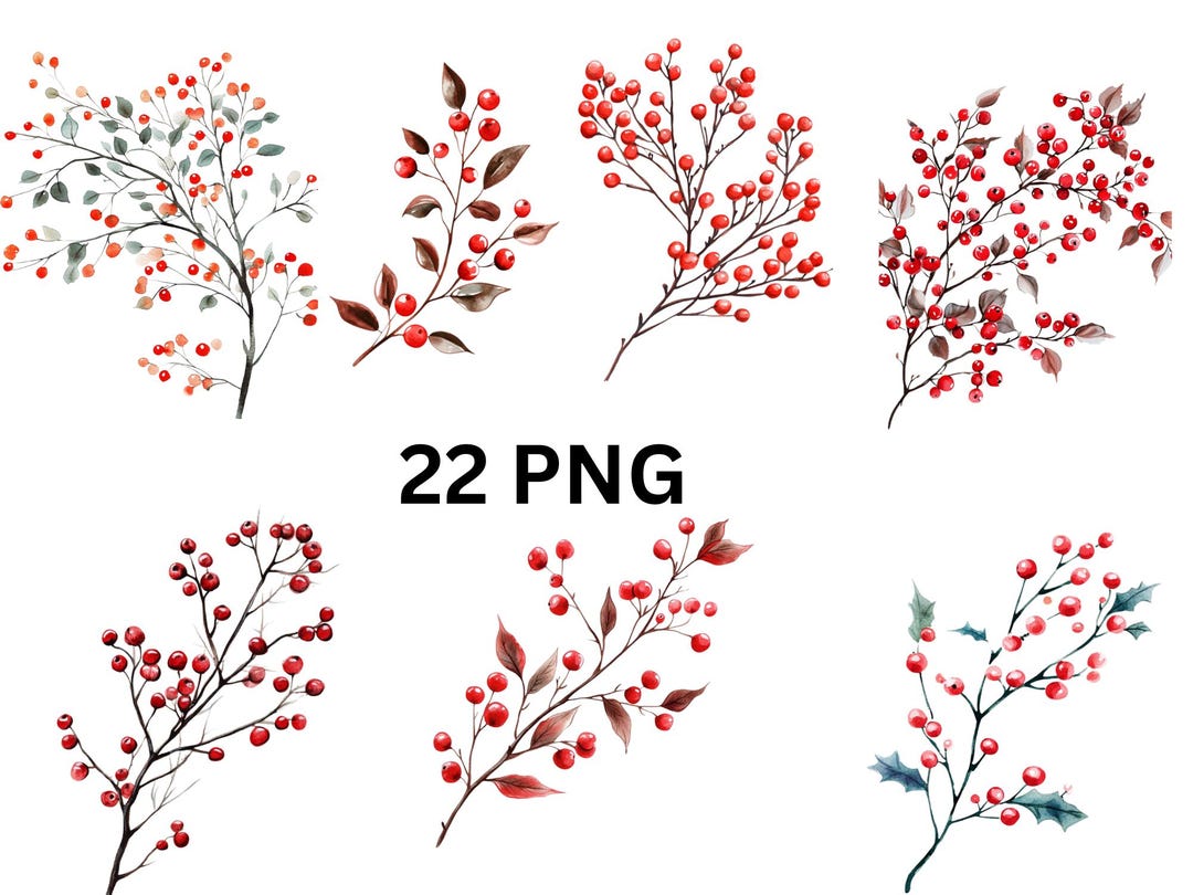 Christmas Berry Branch Clipart | 22 PNG Digital Winter Berries, PNG ...