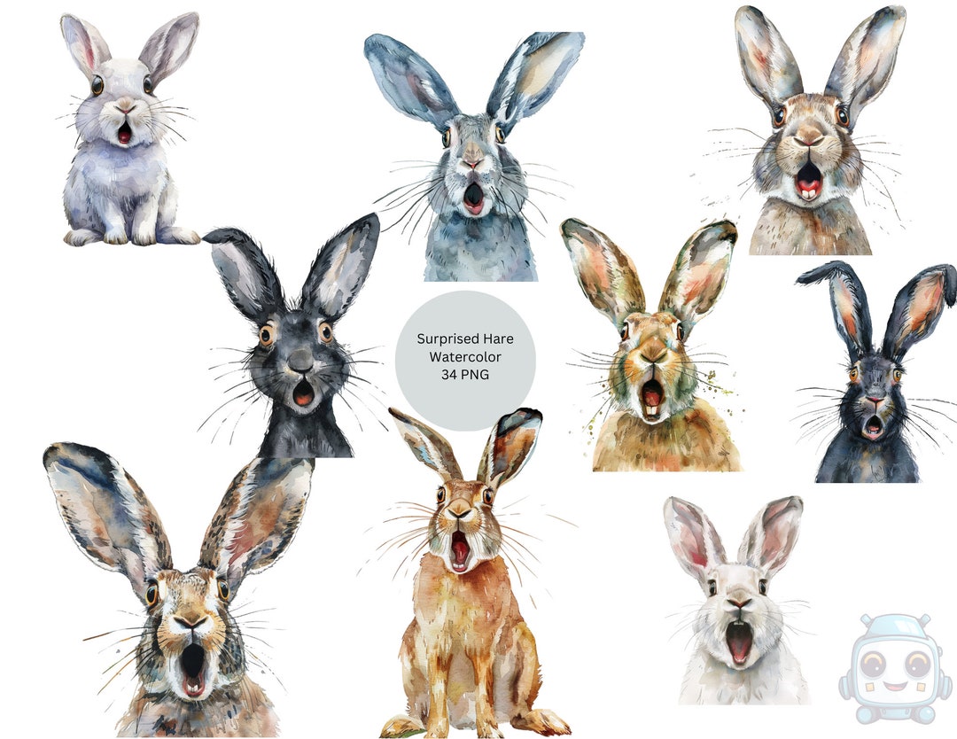 Watercolor Surprised Hare Clipart, PNG Individual Images on Transparent ...