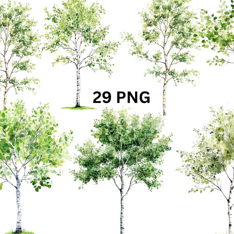 Watercolor Tree Birch - Etsy