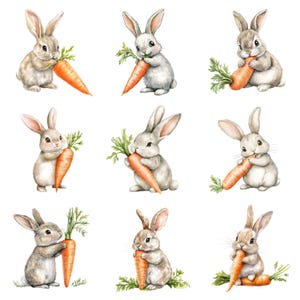 37 Bunnies With Carrots Watercolor Clipart, Bunny Clipart, PNG ...