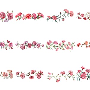 45 Carnation Borders Watercolor Clipart, Floral Clipart, PNG Digital ...