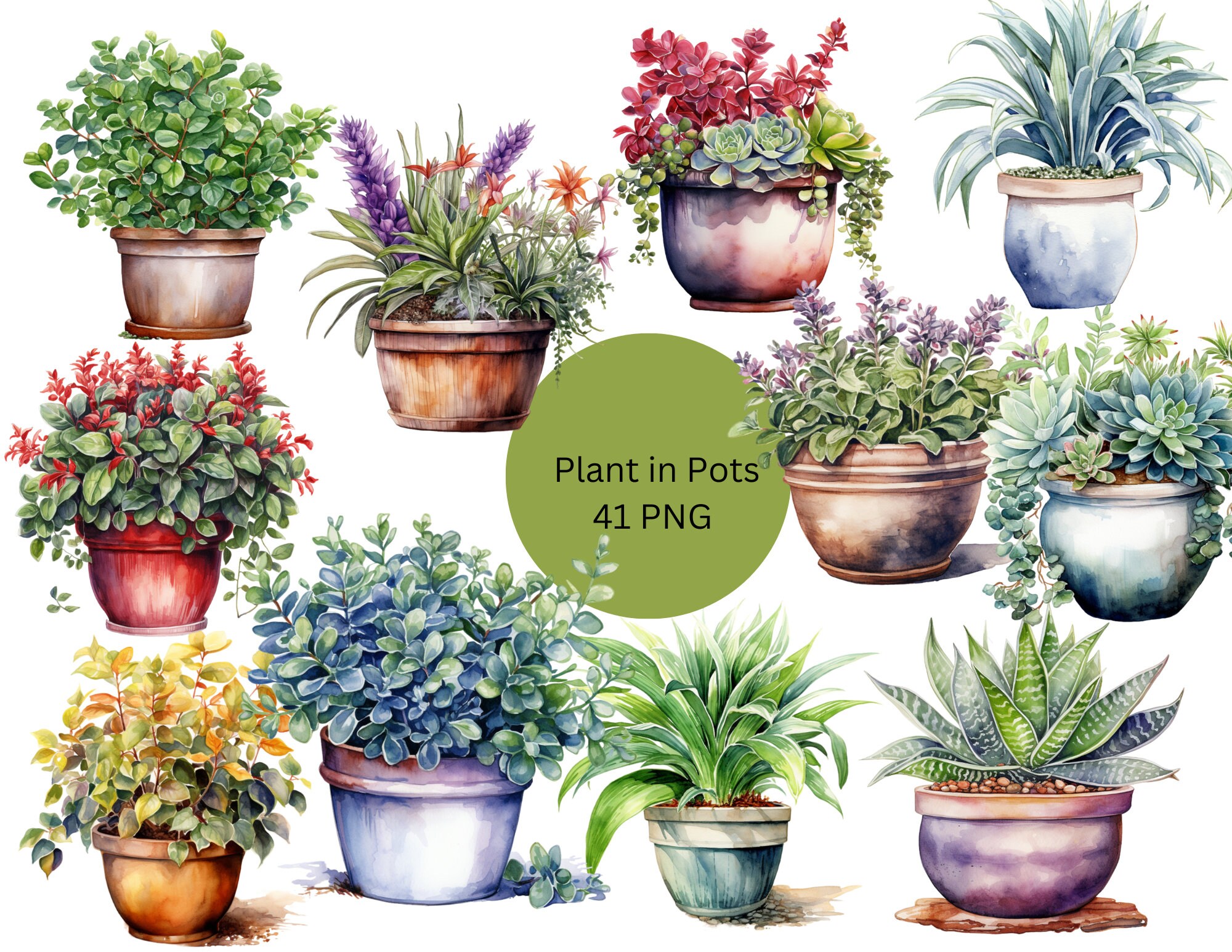 Watercolor Plants in Pots Clipart, PNG Digital Files on Transparent ...