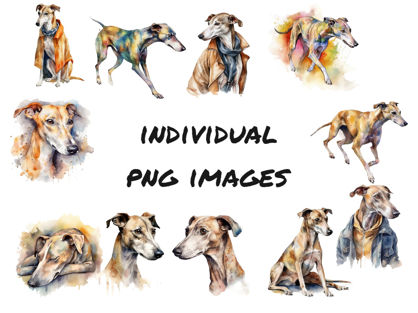 Watercolor Greyhounds Clipart, PNG Digital Files on Transparent ...