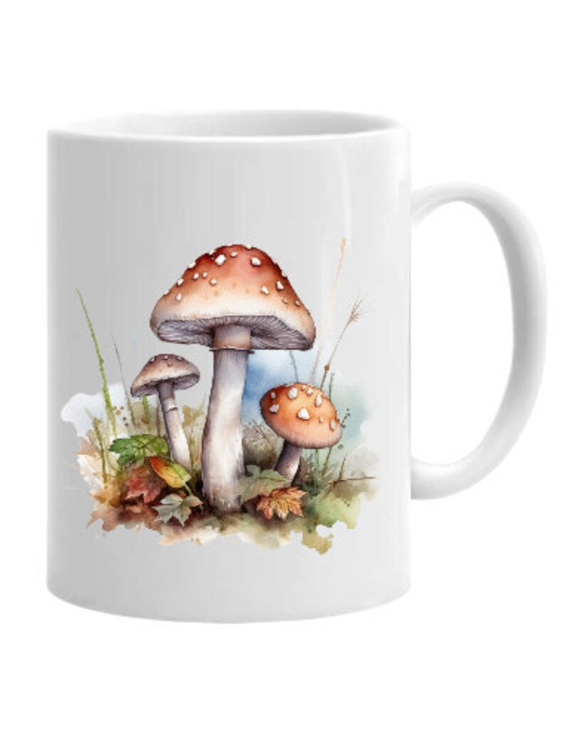 Watercolor Mushrooms Clipart PNG Digital Files on Transparent - Etsy