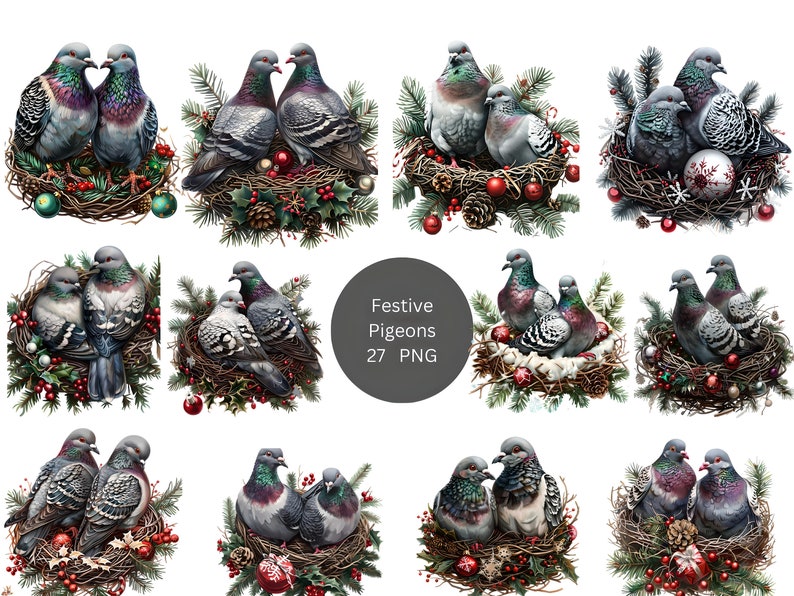 27 Christmas Pigeon in Nests Clipart | PNG Files | Festive Pigeon Art ...