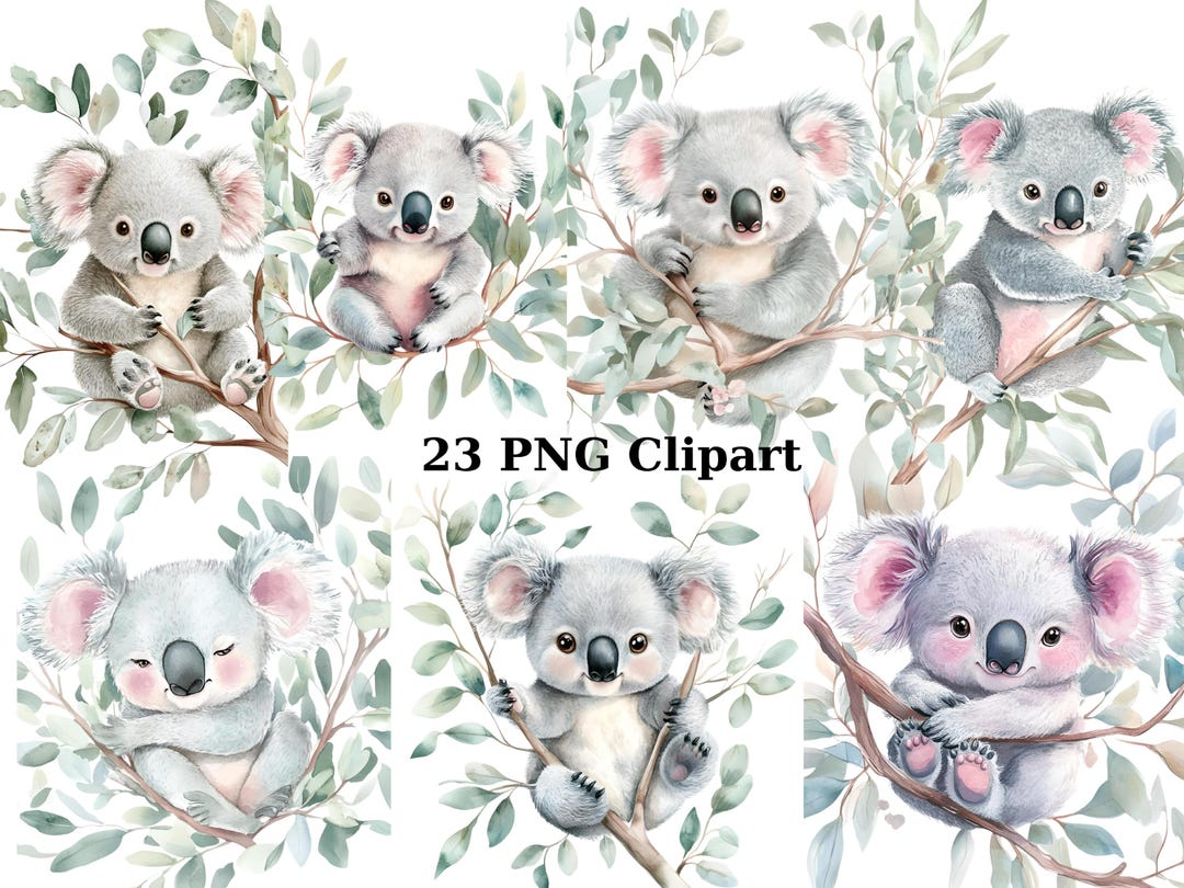 23 Cute Koalas Watercolor Clipart, Animals Clipart, PNG Individual ...