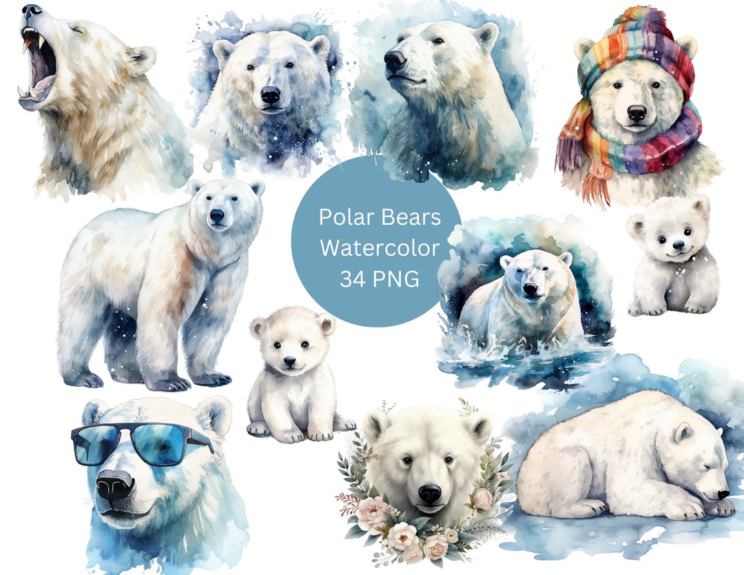 Watercolor Polar Bears Clipart, PNG Digital Files on Transparent ...