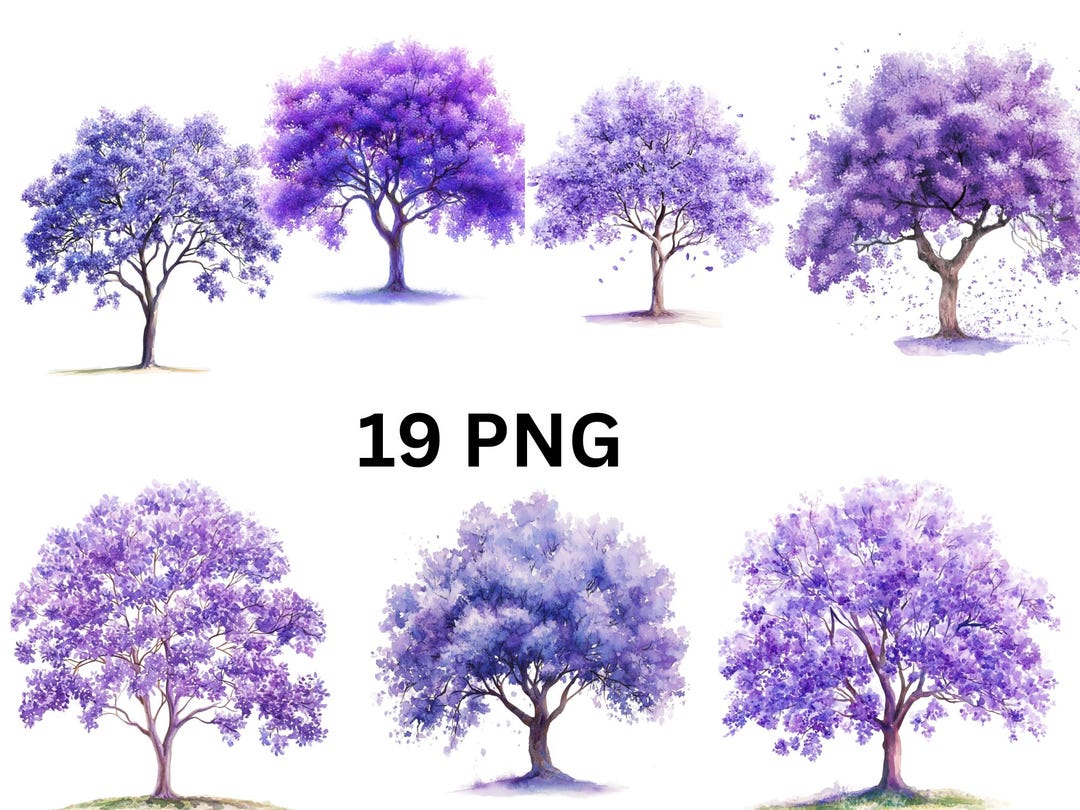 Imágenes prediseñadas de árboles morados de Jacaranda: 19 imágenes ...