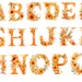 Watercolor Floral Orange Alphabet Clipart , Floral Alphabet ...
