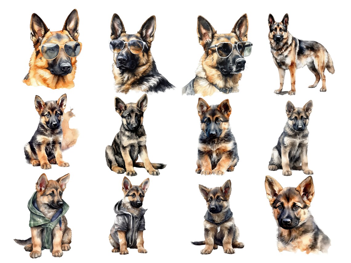 Watercolor German Shepherd Clipart, 26 Cute PNG Images, High Quality ...