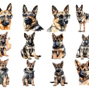 Watercolor German Shepherd Clipart, 26 Cute PNG Images, High Quality ...