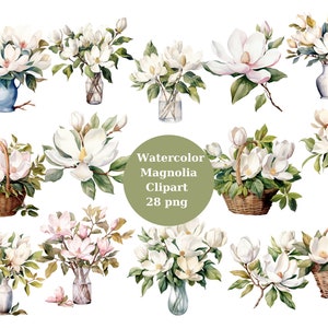 Watercolor Magnolia Clipart ,transparent Background, High Quality, PNG ...
