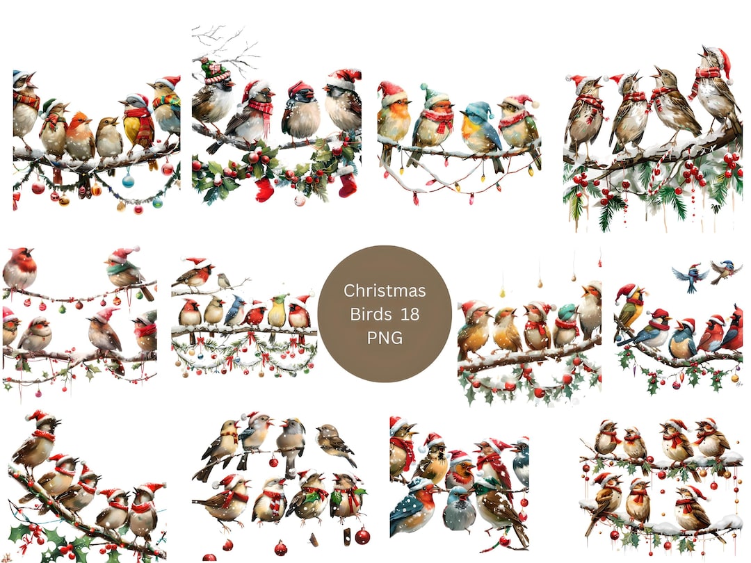 18 Christmas Birds Clipart, Christmas Clipart, PNG Individual Images on ...