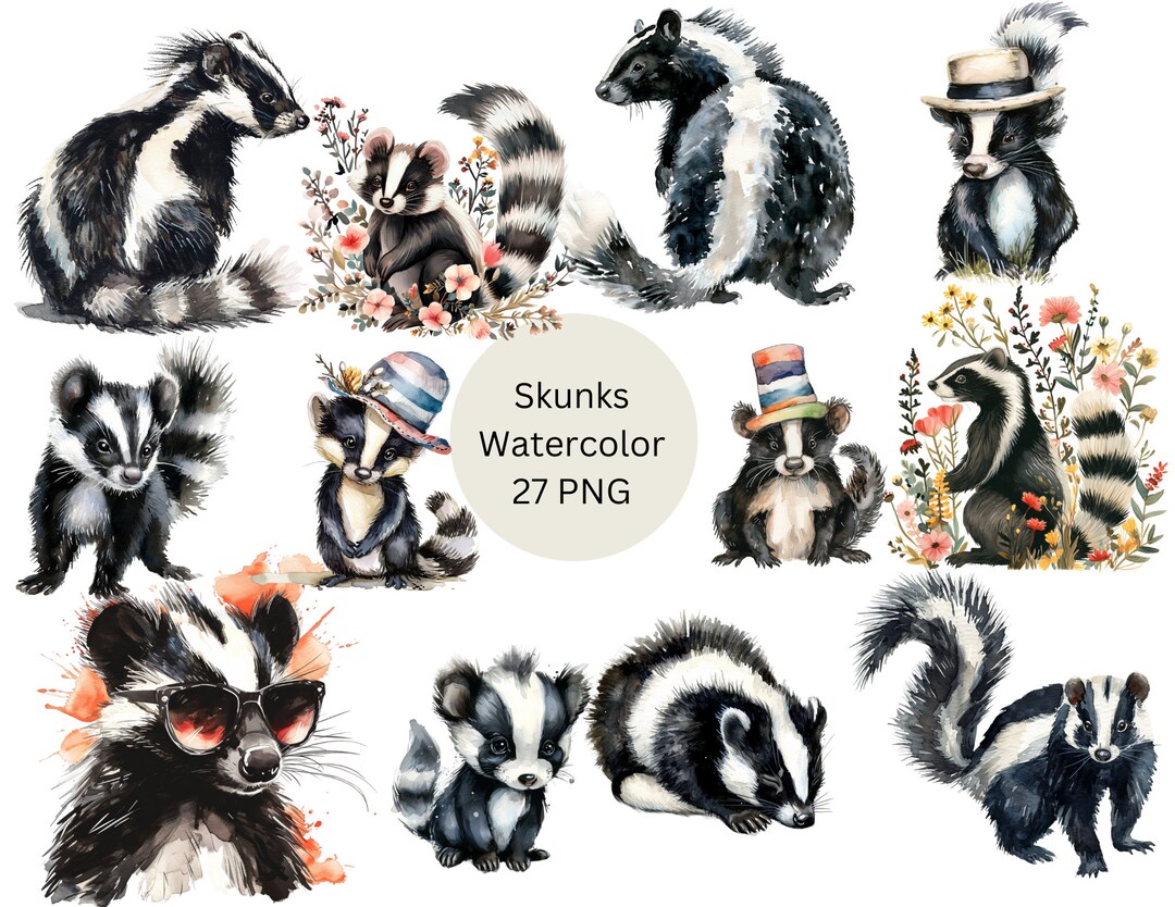 Watercolor Skunks Clipart, PNG Digital Files on Transparent Background ...