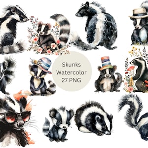Watercolor Skunks Clipart, PNG Digital Files on Transparent Background ...