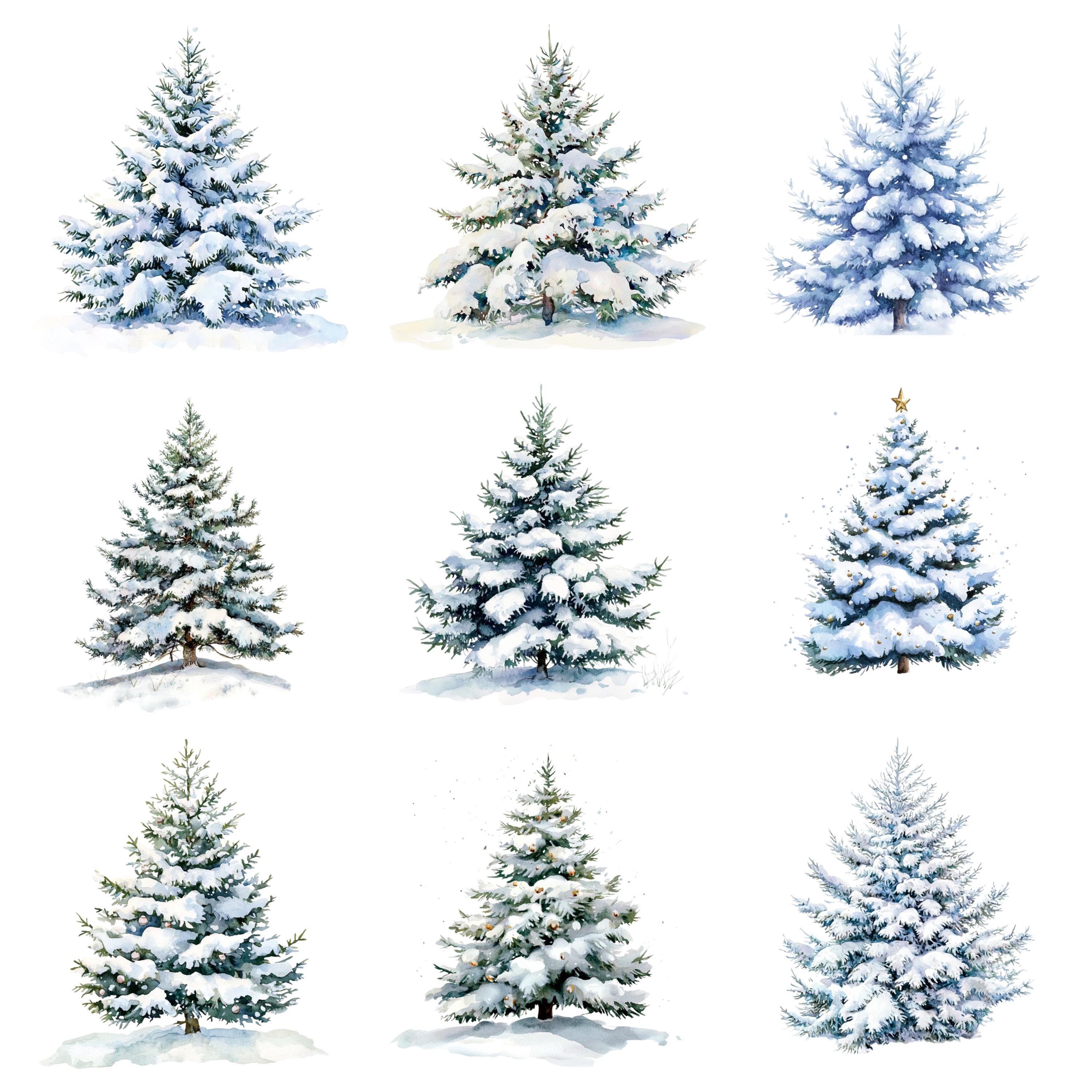 Snowy Christmas Tree Clipart | 18 PNG Winter Trees, PNG Individual ...