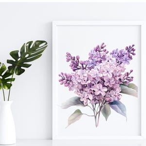 30 Lilac Flowers Watercolor Clipart, PNG Digital Files on Transparent ...