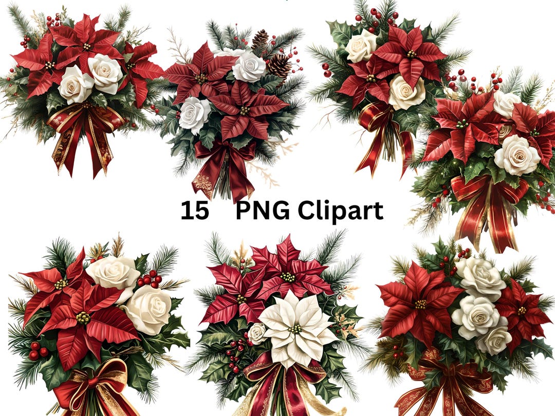 Christmas Floral Clipart Bundle | 15 PNG Images of Poinsettia & White ...