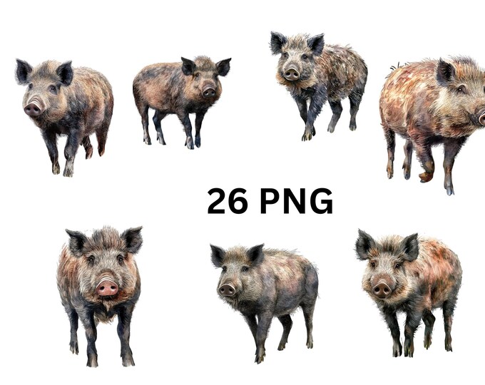 Wild Boar Watercolor Clipart | Printable Animal Designs (digital ...