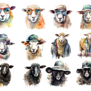 Sheep Bundle, Farm Animals, Watercolour, 32 PNG Images, Transparent ...
