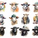 Sheep Bundle, Farm Animals, Watercolour, 32 PNG Images, Transparent ...