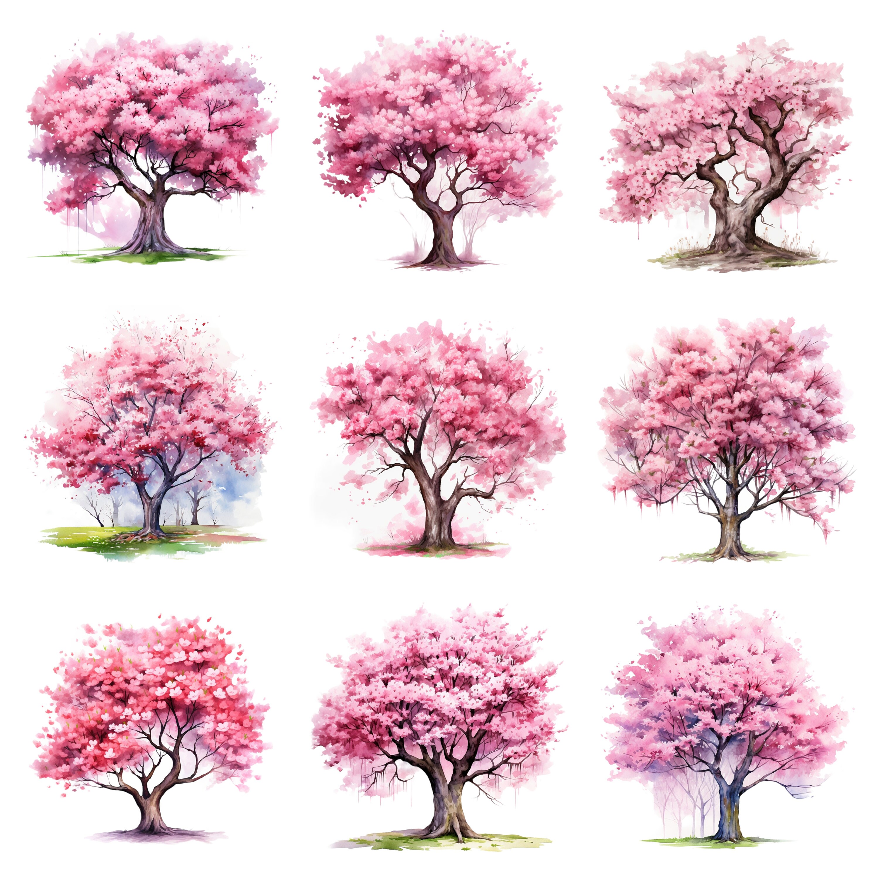 Watercolor Sakura Trees Clipart Cherry Blossom PNG Digital - Etsy