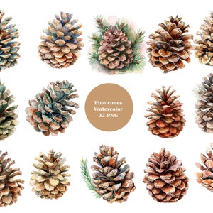 32 Watercolor Pine Cones Clipart, Fall Clipart, PNG Individual Images ...