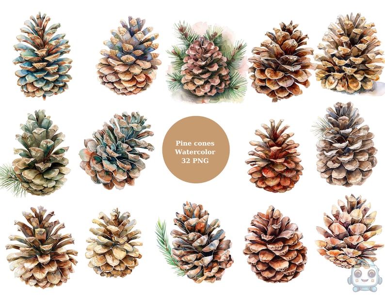 32 Watercolor Pine Cones Clipart, Fall Clipart, PNG Individual Images ...