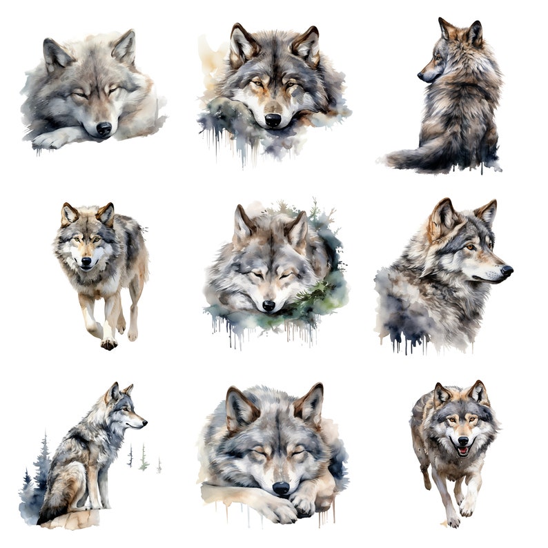 Watercolor Gray Wolves Clipart, PNG Digital Files on Transparent ...